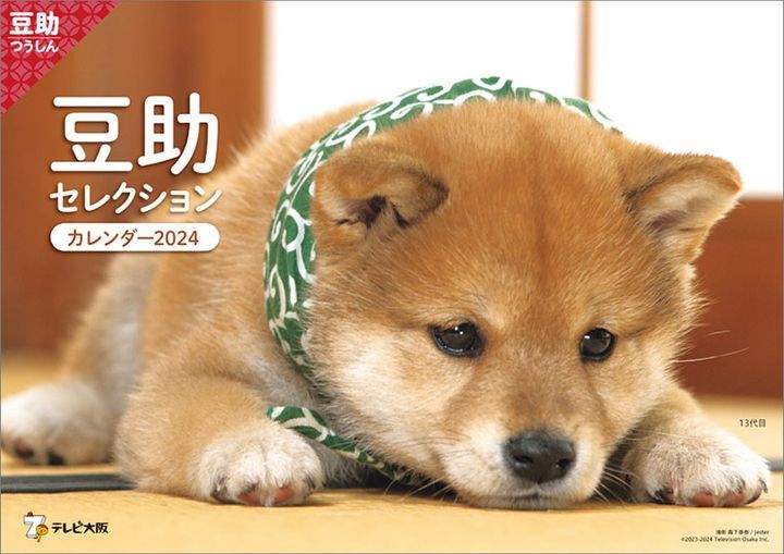 YESASIA: Mamesuke 2024 Calendar (Japan Version) CALENDAR,PHOTO/POSTER ...