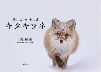 YESASIA: kitakitsune satoyama no kuukan - tomari kazuyuki - Books in ...