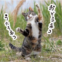 YESASIA : odoru neko utau neko - oki masayuki - 日文書籍 - 郵費全免