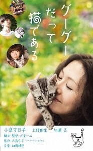 YESASIA: Gu Gu The Cat (DVD) (Special Priced Edition) (English ...