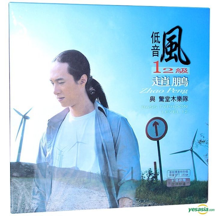 YESASIA: Bass Typhoon Level 12 (Vinyl LP) (China Version) - Zhao Peng ...
