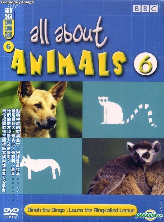 YESASIA: Image Gallery - All About Animals 6 (DVD) (Hong Kong Version) - North America Site