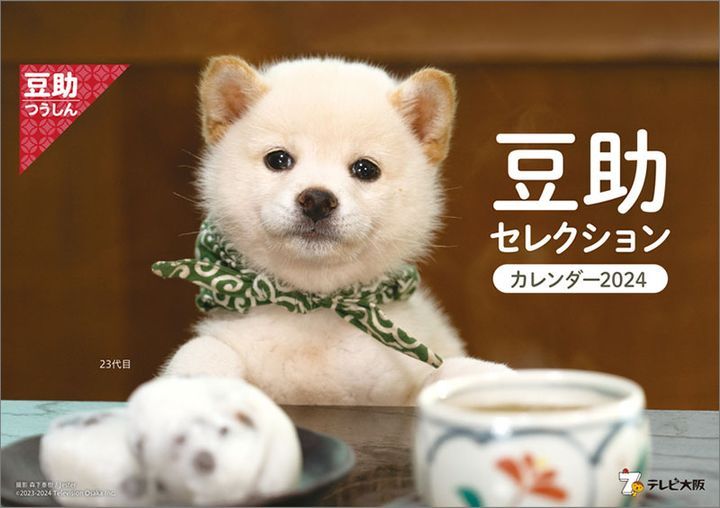 YESASIA: Mamesuke 2024 Desktop Calendar (Japan Version) PHOTO/POSTER ...