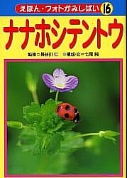 YESASIA: ehon fuoto kamishibai 16 nanahoshitentou - nanao jiyun ...