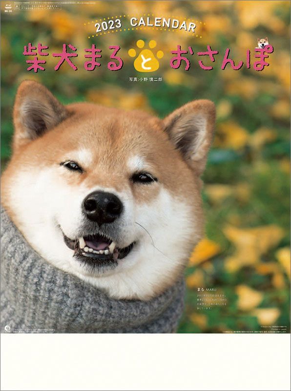 YESASIA: Let's Walk with Shiba Inu Maru 2023 Calendar (Japan Version) CALENDAR,PHOTO/POSTER ...