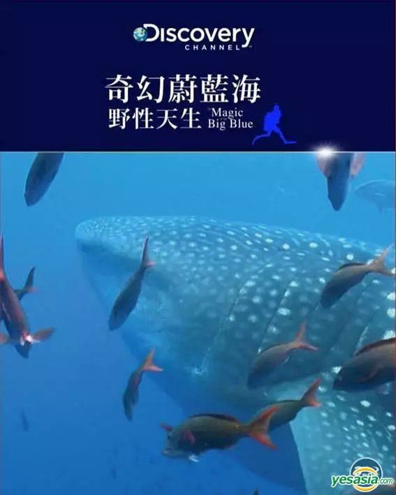 YESASIA: Image Gallery - The Magic of the Big Blue (3 Blu-rays ...