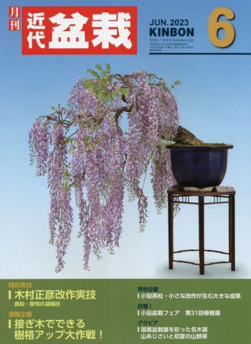 YESASIA: Monthly Kindai Bonsai 03459-06 2023 - - Japanese Magazines ...