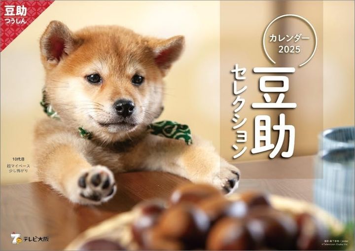 YESASIA: Mamesuke Selection 2025 Calendar (Japan Version) CALENDAR ...
