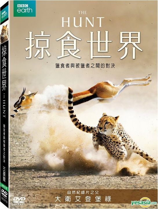 YESASIA: The Hunt (DVD) (Taiwan Version) DVD - Deltamac (Taiwan) Co ...