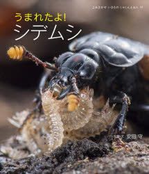 YESASIA: umaretayo shidemushi yomikikase ikimono shiyashin ehon 39 - yasuda mamoru - Books in ...