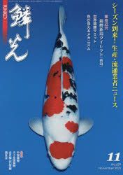 YESASIA: rinkou 2022 11 2022 11 shi zun tourai seisan riyuutsuu ...