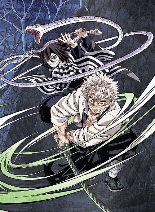 YESASIA: Demon Slayer: Kimetsu no Yaiba Season 4 Hashira Training Arc ...