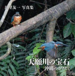 YESASIA: tengangawa no houseki okinawa no kawasemi tasato yuuichi ...
