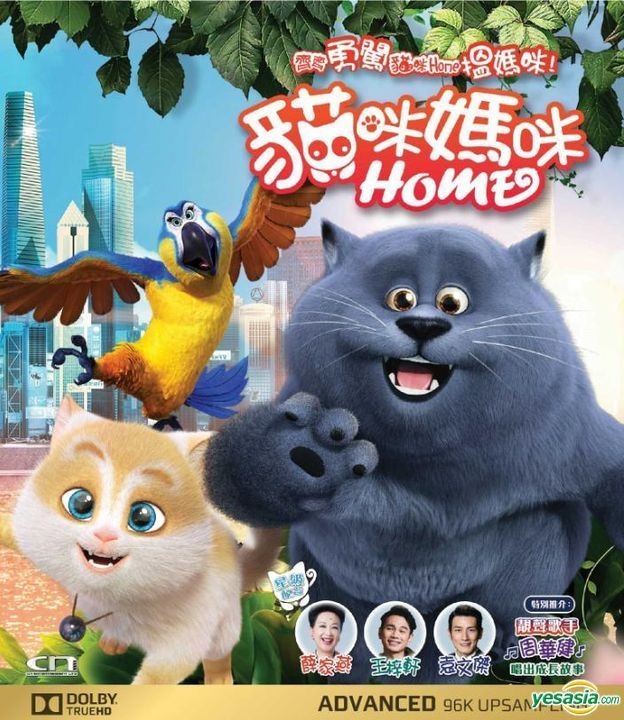 YESASIA: Cats (2018) (DVD) (Hong Kong Version) DVD - Gary Wang, CN ...