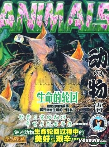 YESASIA: Animals (VCD) (China Version) VCD - Liao Zhu Wen Hua Yi Shu ...
