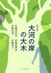 YESASIA: taiga no kishi no taiboku shibunshiyuu - satou michitomo itou ...