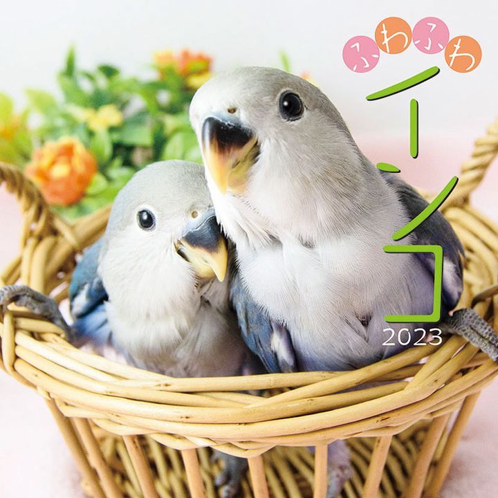 YESASIA: Image Gallery - Fuwafuwa Parrots 2023 Calendar (Japan Version)