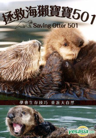 YESASIA: Saving Otter 501 (DVD) (OFF THE FENCE) (Taiwan Version) DVD ...