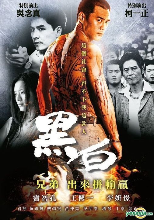 YESASIA: Mole of Life (2016) (DVD) (English Subtitled) (Taiwan Version ...