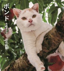 YESASIA: bondo momonouka no neko iwagouzu butsuku 9 IWAGO S BOOK 9 - iwagou mitsuaki - Books in ...