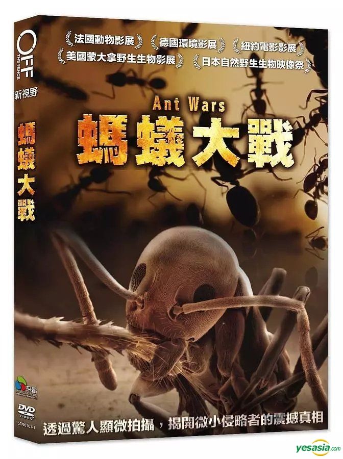 YESASIA: Ant Wars (DVD) (Off The Fence) (Taiwan Version) DVD - Cai Chang International ...