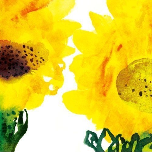 YESASIA: Hanazukan (First Press Limited Edition) (Japan Version) CD ...