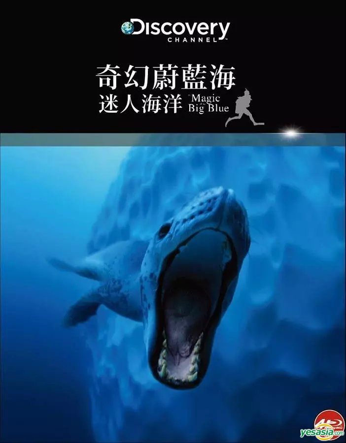 YESASIA: The Magic of the Big Blue (4 Blu-rays) (Discovery Channel ...