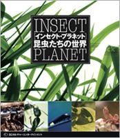 YESASIA: Innocent Planet - Insect Planet (DVD) (Japan Version) DVD ...