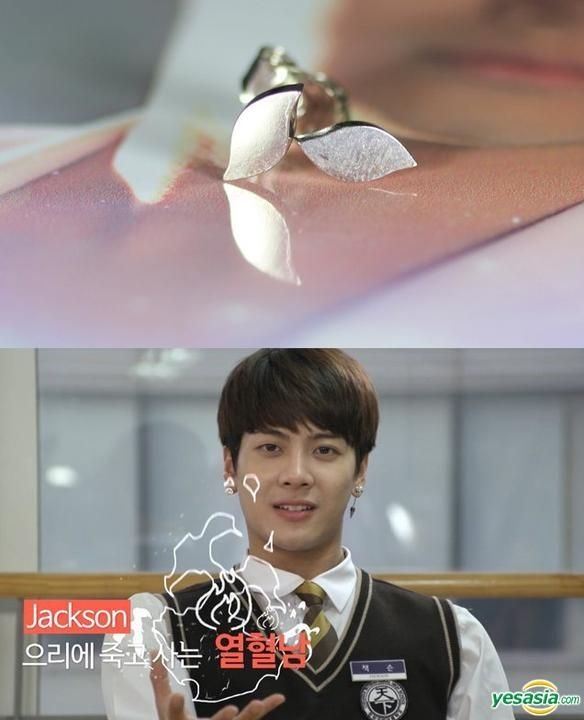 YESASIA: GOT7 Dream Knight PPL Goods - Earrings (Jackson) GIFTS,MALE ...
