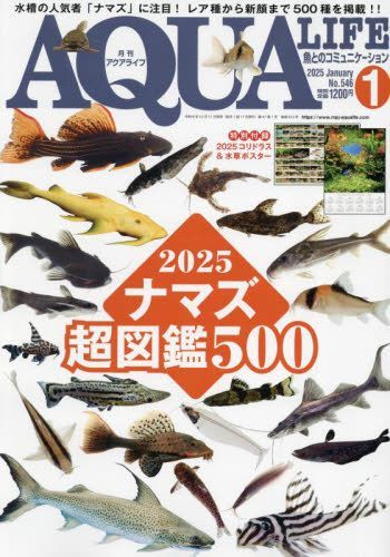 YESASIA: Monthly Aqua Life 01455-01 2025 - - Japanese Magazines - Free ...