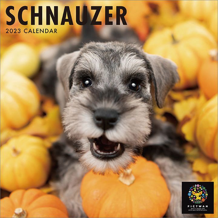 YESASIA: Schnauzer 2023 Calendar (Japan Version) CALENDAR,PHOTO/POSTER ...