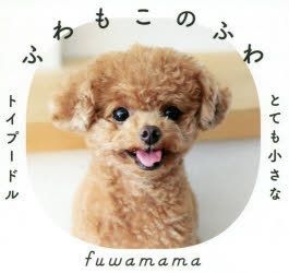 YESASIA: fuwamoko no fuwa totemo chiisana toipu doru - fuwamama - Books ...