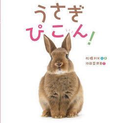 YESASIA: usagi pikon - matsuhashi toshimitsu ikeda natsumi - Books in ...