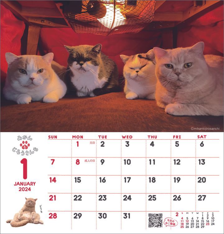 YESASIA: Life with Cats 2024 Desktop Calendar (Japan Version) CALENDAR ...