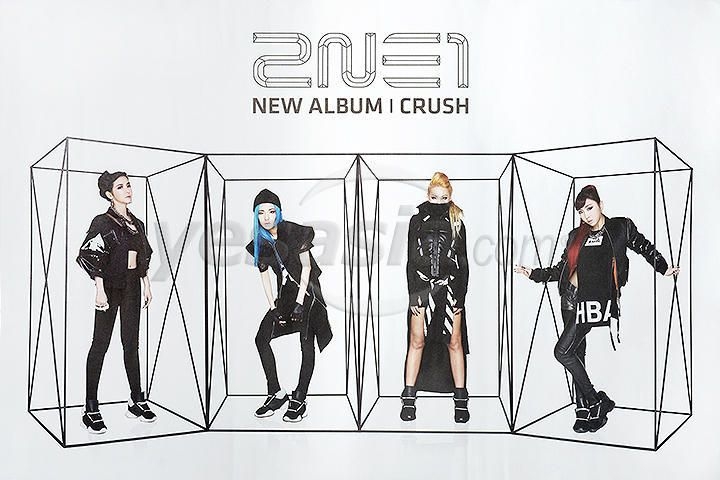 YESASIA: 2NE1 New Album - Crush (Pink Version) + Poster in Tube CD ...