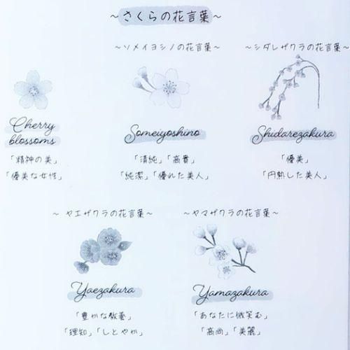 YESASIA: Flowers Sticker (Sakura) - Kamio Japan - Lifestyle & Gifts ...