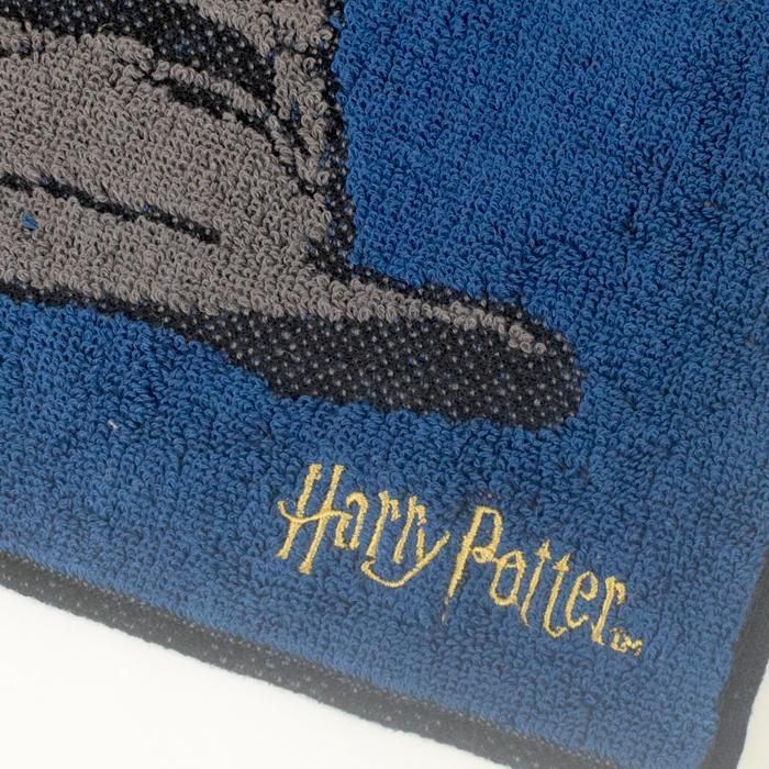 Harry Potter Hand Towels