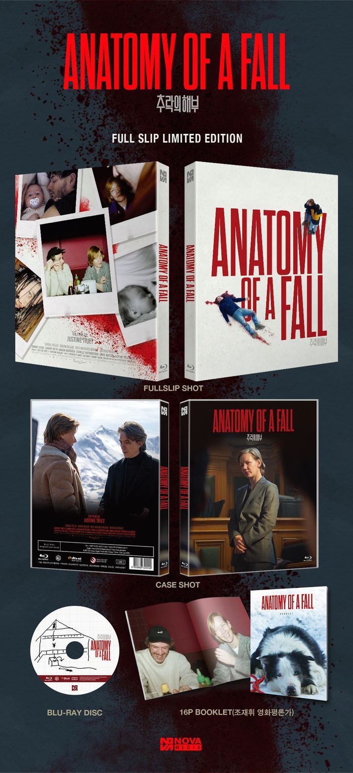 YESASIA: ANATOMY OF A FALL (Blu-ray) (Full Slip Numbering Limited ...