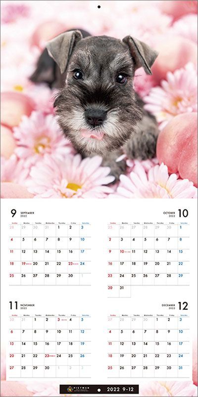 YESASIA: Schnauzer 2023 Calendar (Japan Version) CALENDAR,PHOTO/POSTER ...