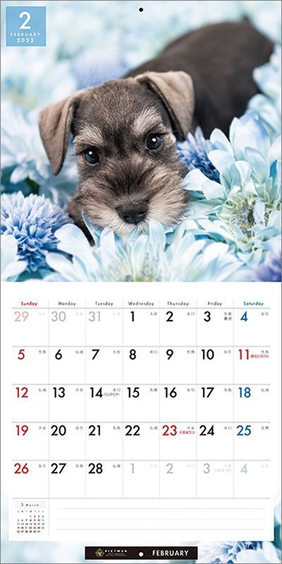 YESASIA: Schnauzer 2023 Calendar (Japan Version) CALENDAR,PHOTO/POSTER ...